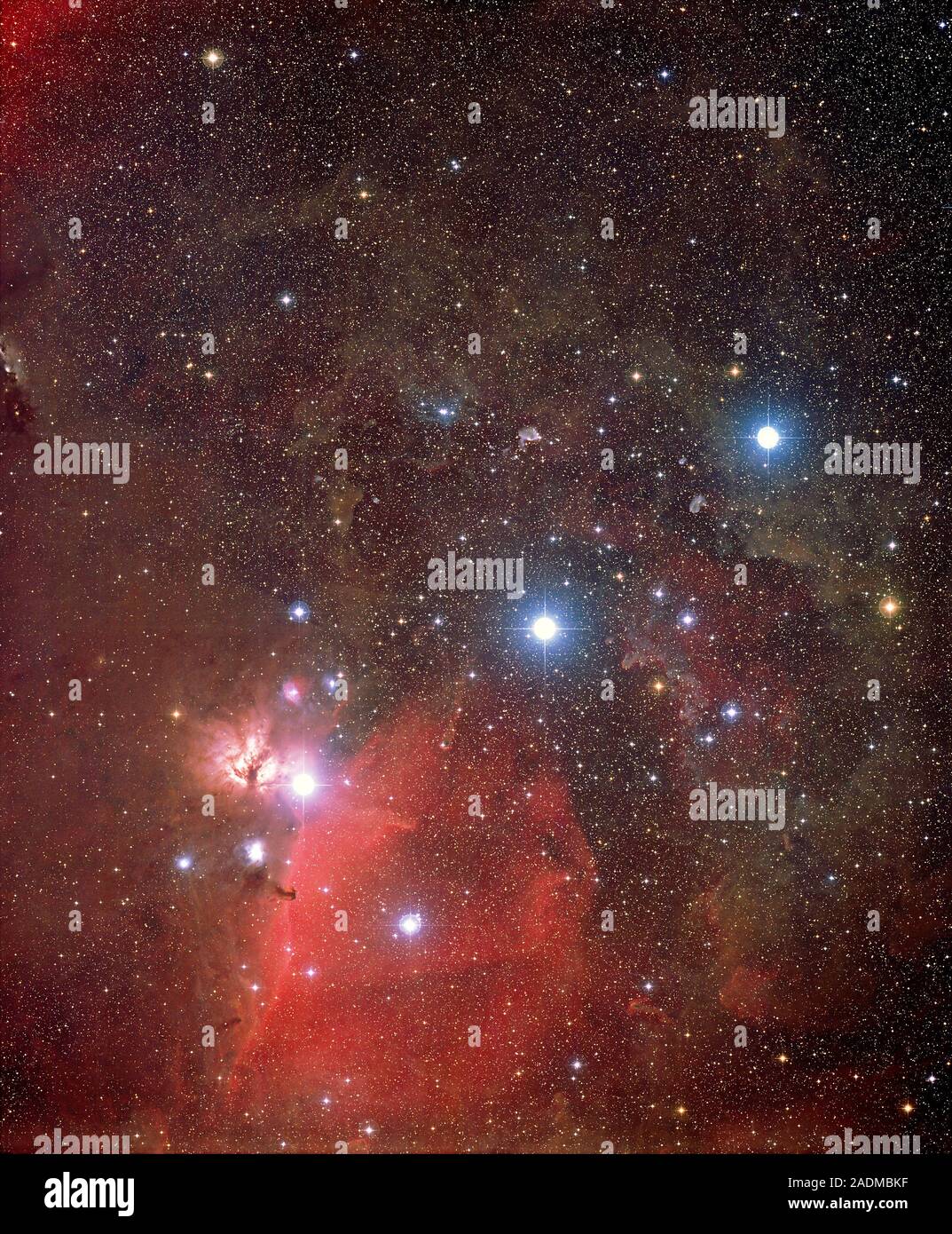Orion's Belt. Optical image of the three bright stars making up Orion's ...