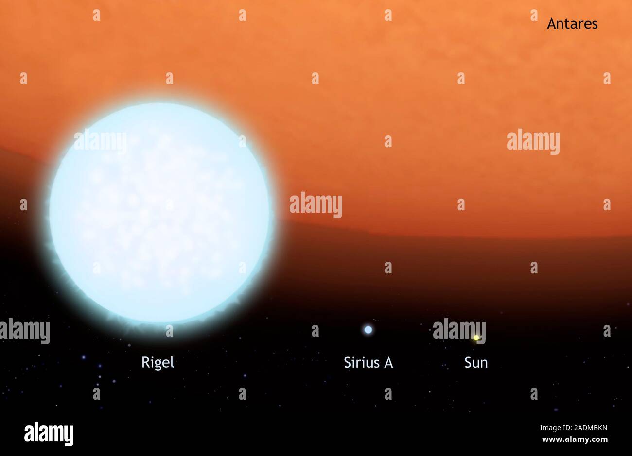 Comparison of star sizes, computer illustration. This image shows the ...