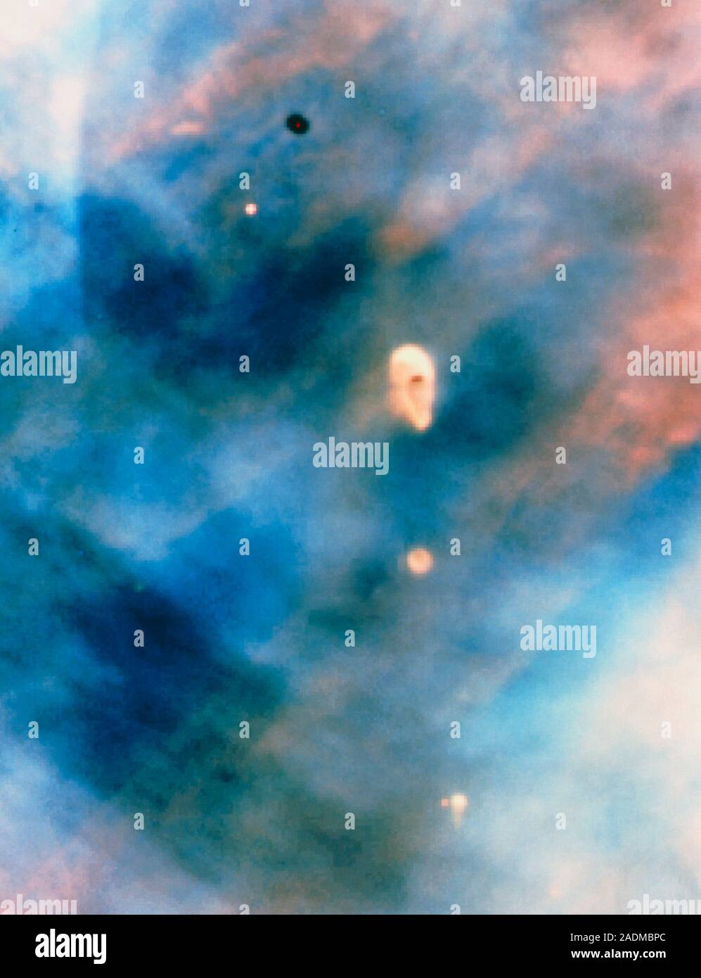 Protoplanetary discs. Five protoplanetary discs, also known as proplyds ...