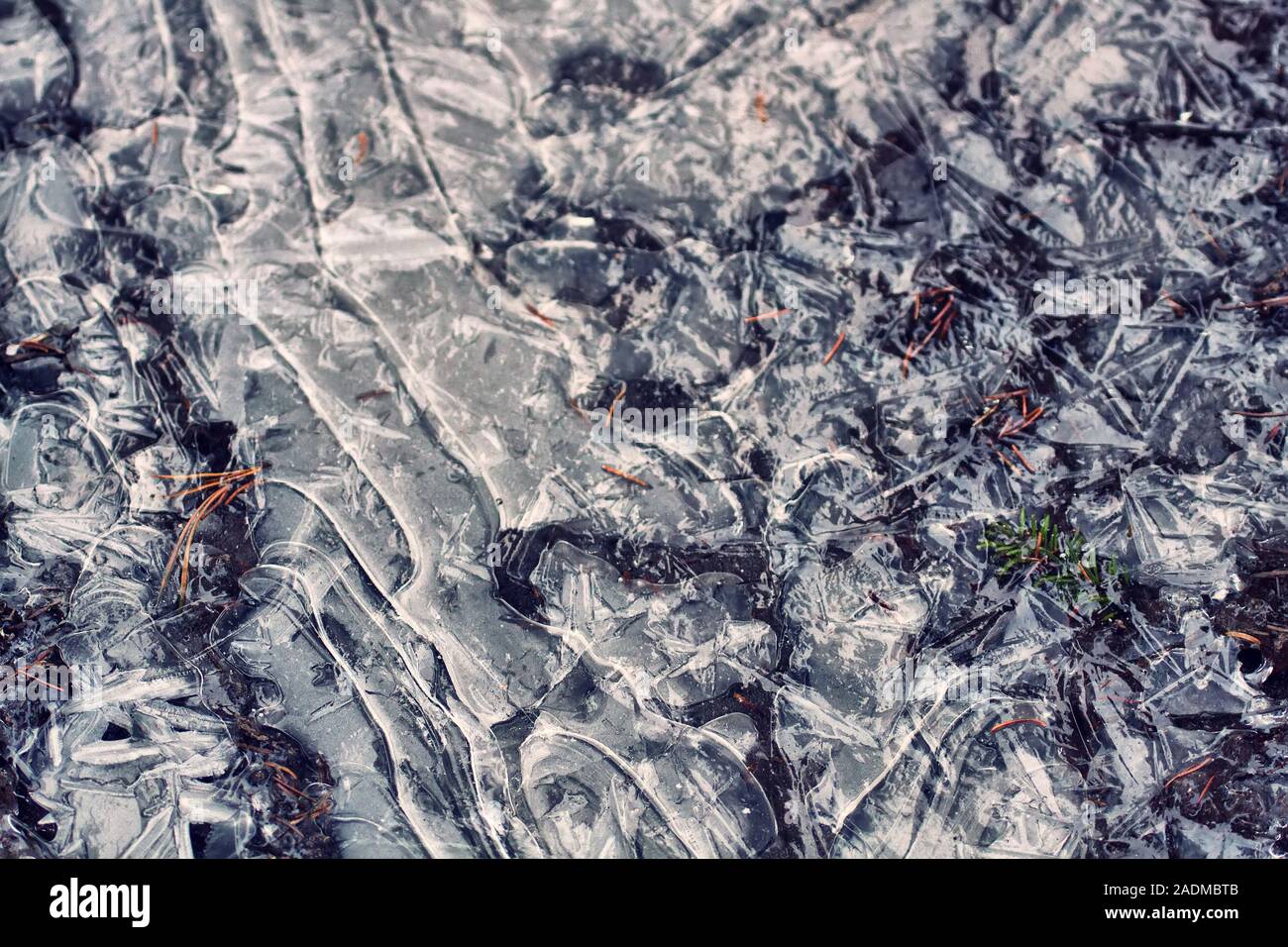 The first thin crust of ice on a puddle transparent and delicate Stock ...