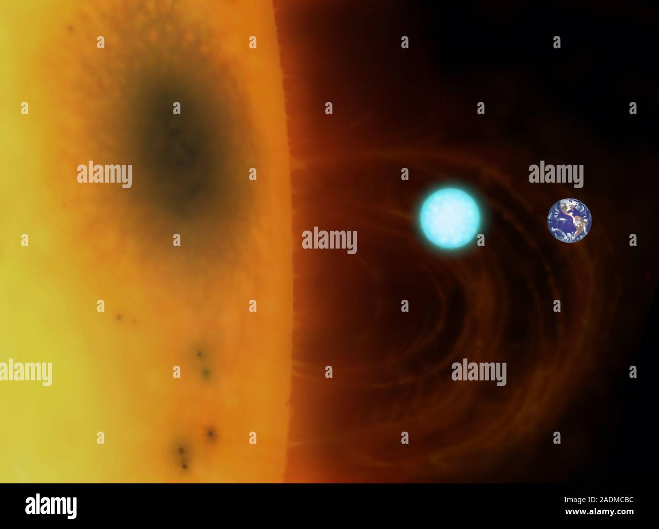 White dwarf star. Artwork of a white dwarf star (blue/white, centre ...