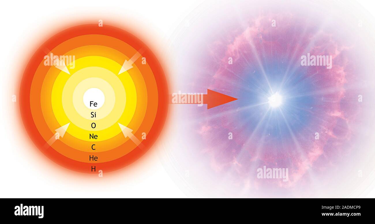Supergiant star's core goes supernova, artwork. When a supergiant star ...