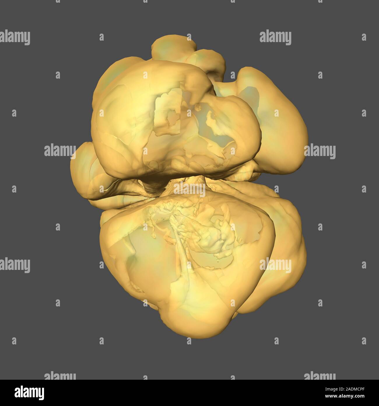 Supernova explosion. Image 3 of 4. Supercomputer simulation showing a ...