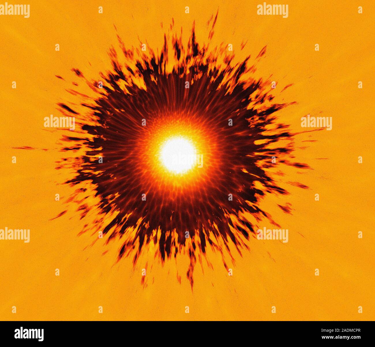 Supernova explosion, computer artwork. Supernovas are the explosive ...