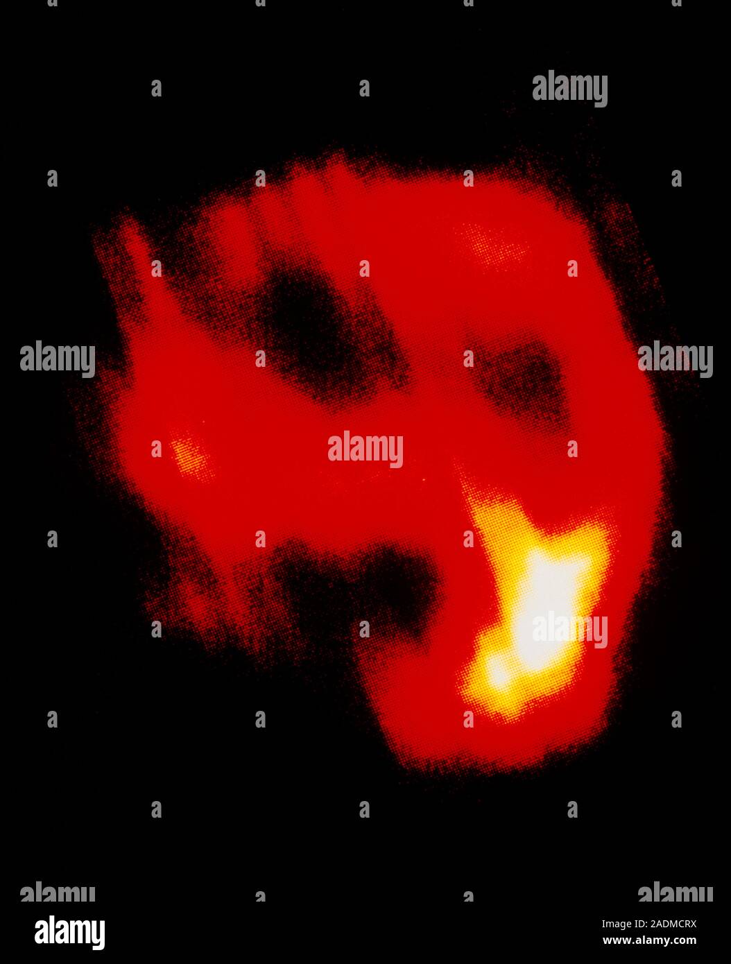 This image may not be used to state or imply ESA endorsement of any ...