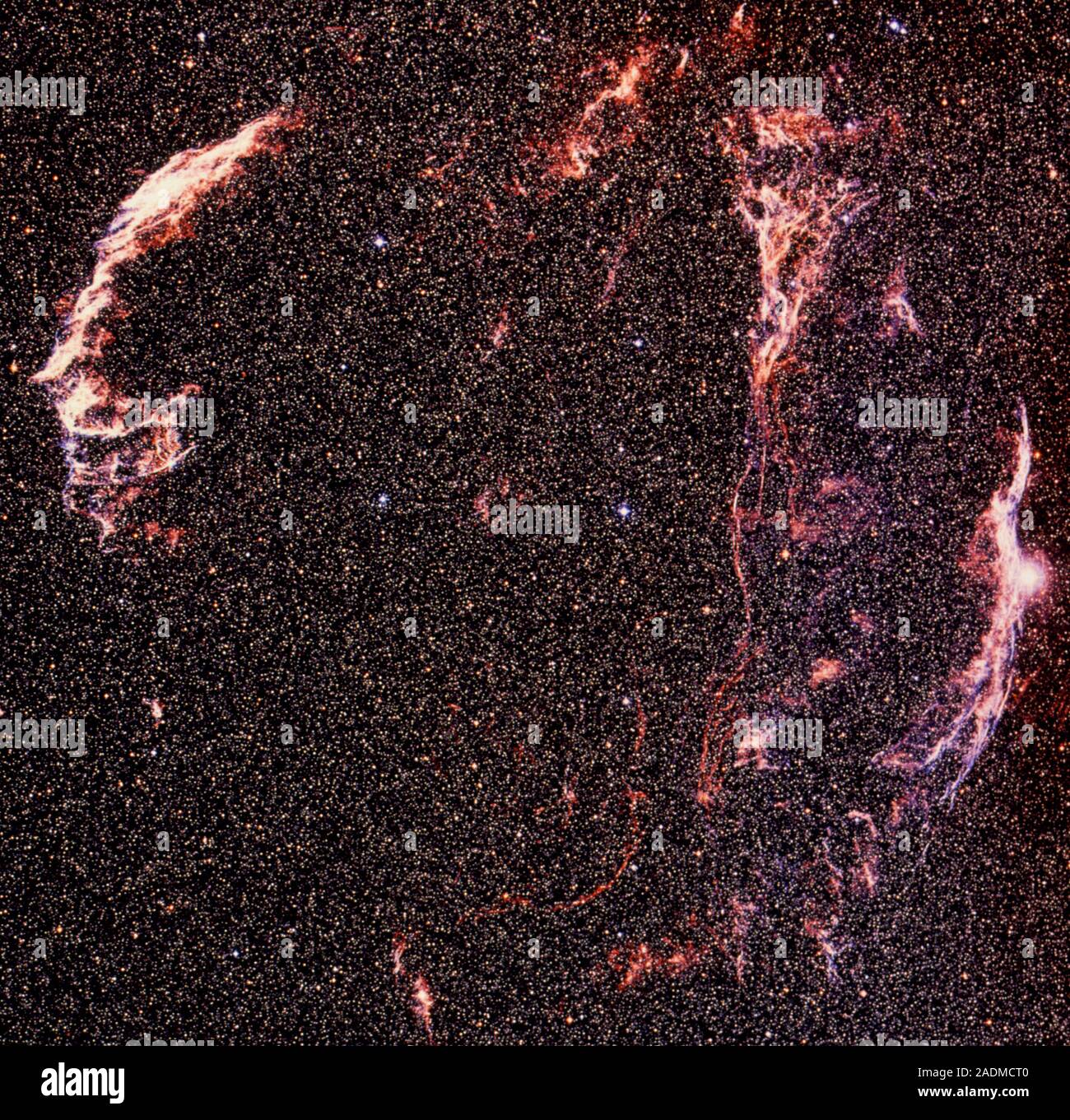 Cygnus loop supernova remnant. True-colour optical image of the Cygnus ...