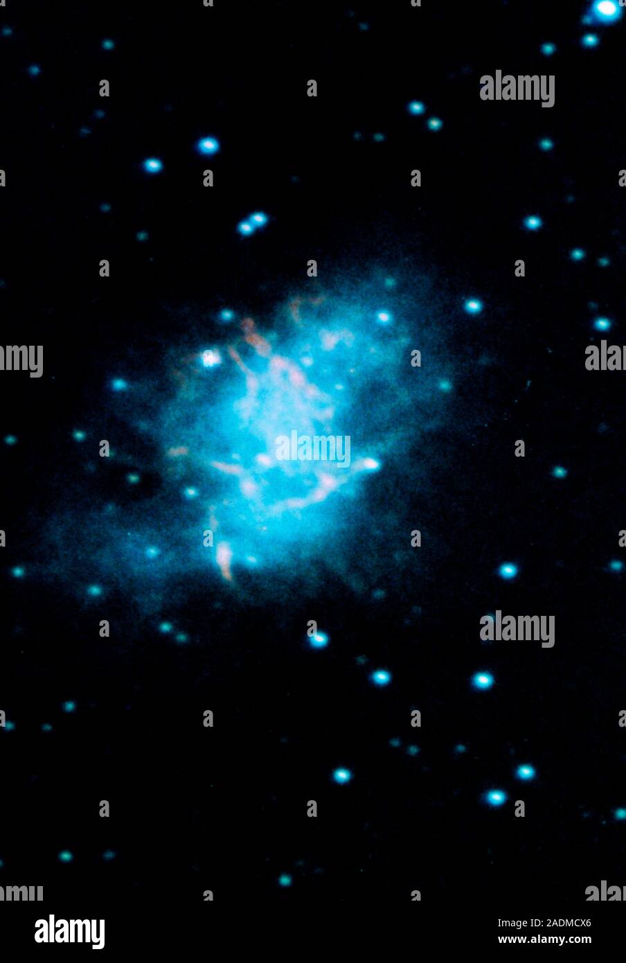 Optical photograph pf the Crab Nebula (also known as M1 & Taurus A). The Crab is a supernova ...