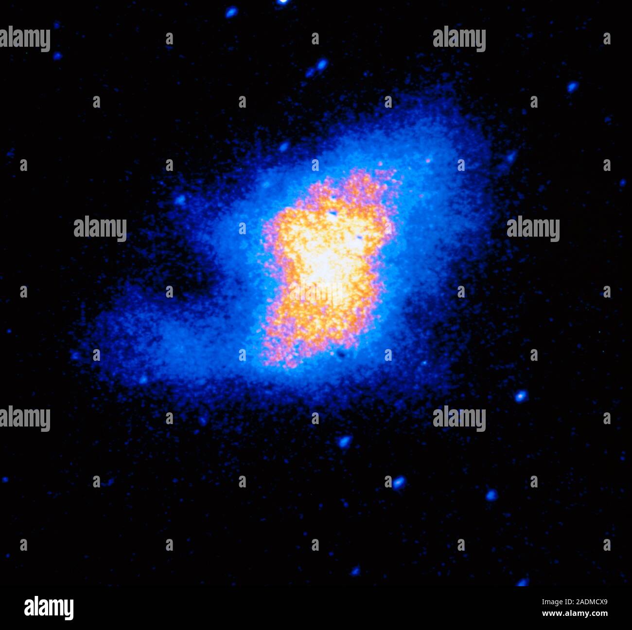 False-colour UV image of the Crab Nebula. This was gathered by the ...