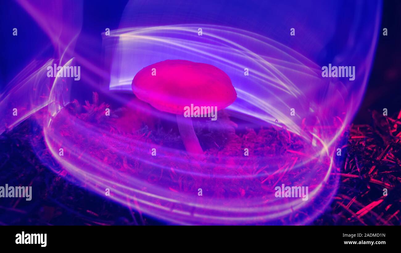 Paradoxical things hi-res stock photography and images - Alamy