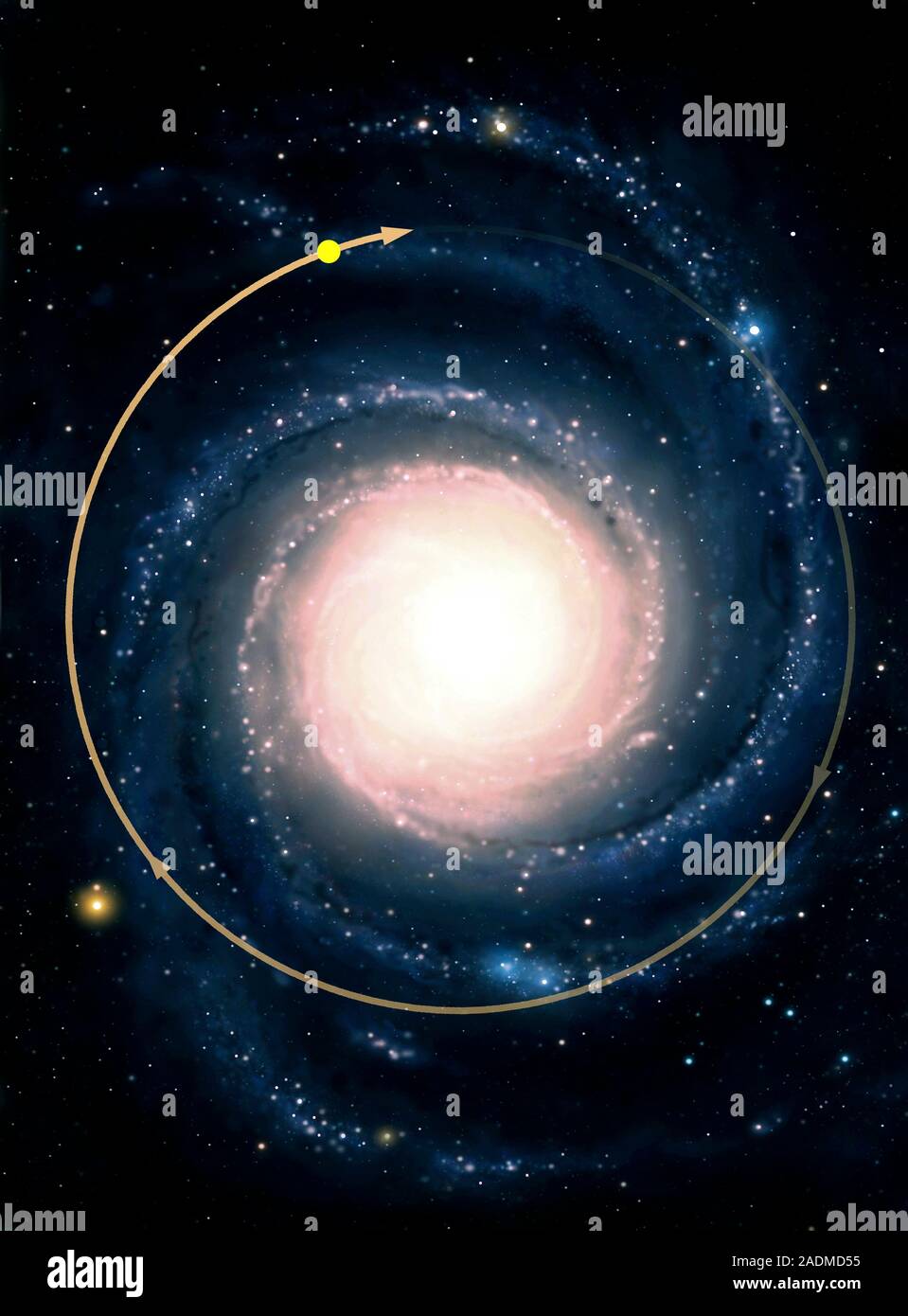 Milky Way galaxy and the Sun's orbit, computer artwork. The orange ...