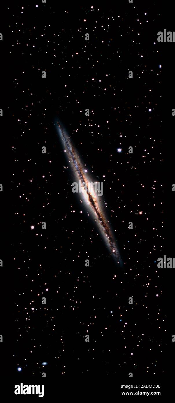 Spiral galaxy NGC 891. Optical image of the galaxy NGC 891. This galaxy ...