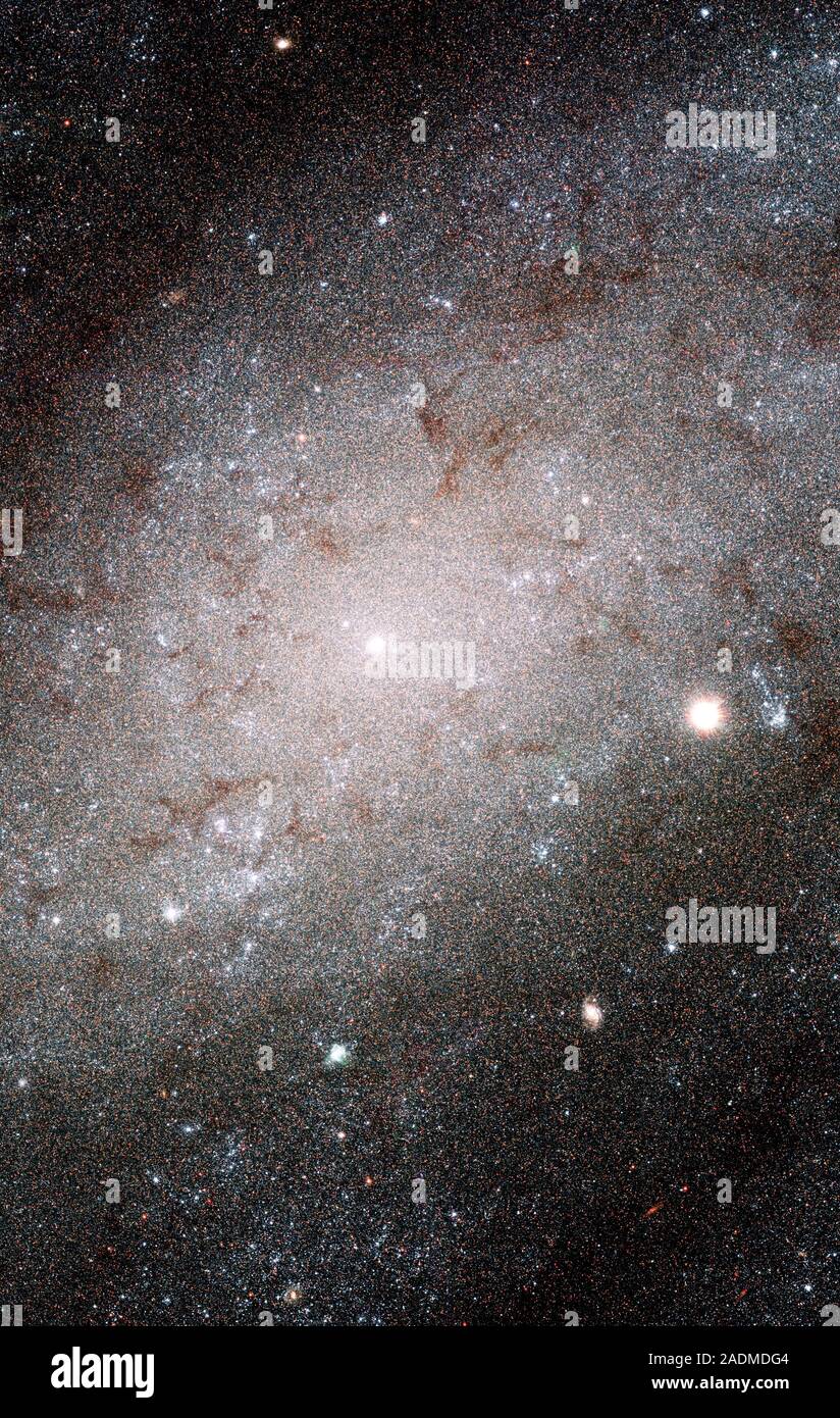 Spiral galaxy NGC 300, Hubble Space Telescope image. Galaxy NGC 300 is 6.5 million light years ...