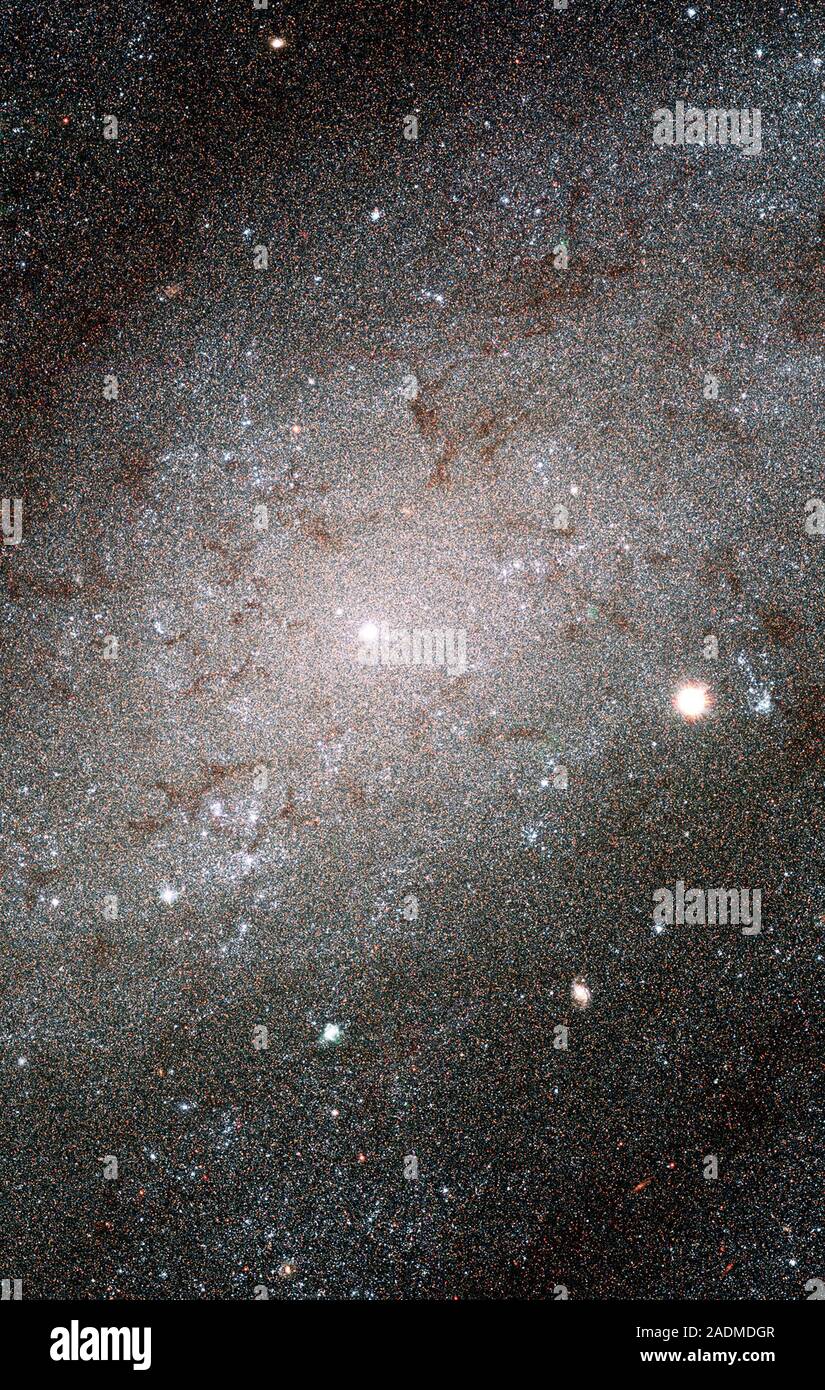 Spiral galaxy NGC 300 (C70, Caldwell 70), Hubble Space Telescope image ...