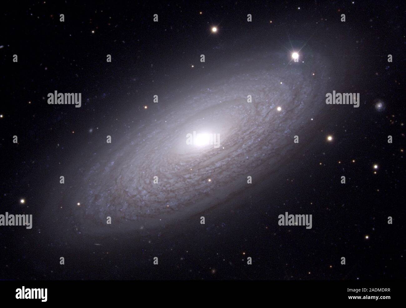 Spiral galaxy NGC 2841. Optical image of the spiral galaxy NGC 2841, which contains a weak type ...