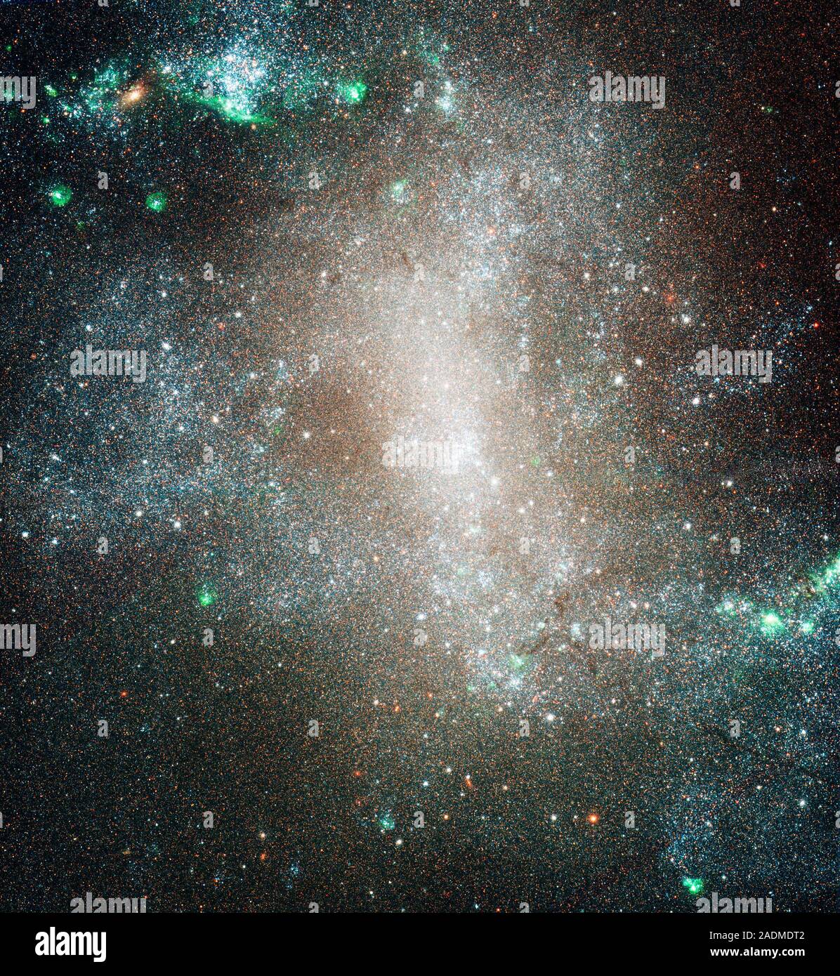Starburst galaxy NGC 1313, Hubble Space Telescope image. This galaxy ...