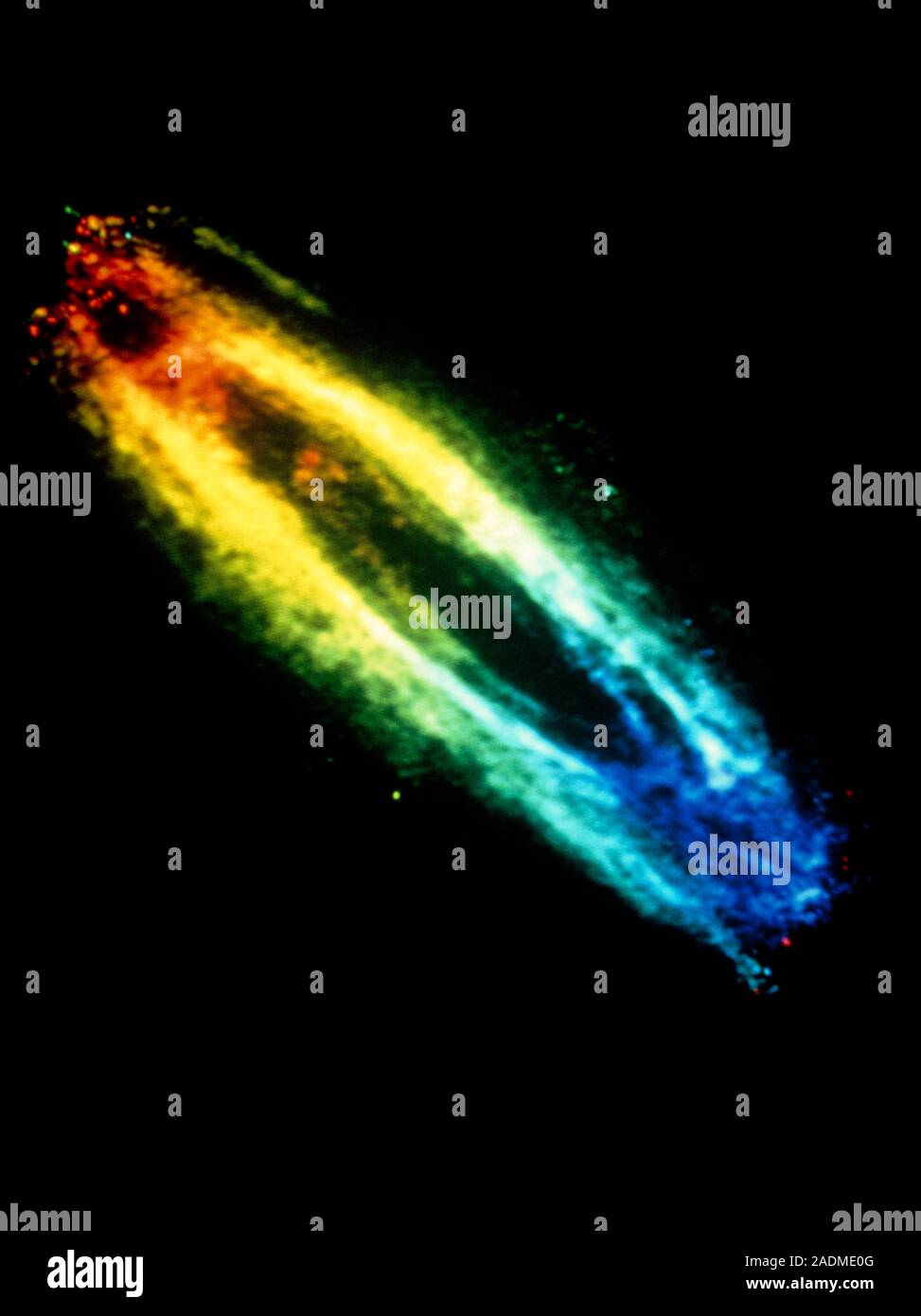 Radio map of the hydrogen gas in the Andromeda Galaxy (M31), colour ...