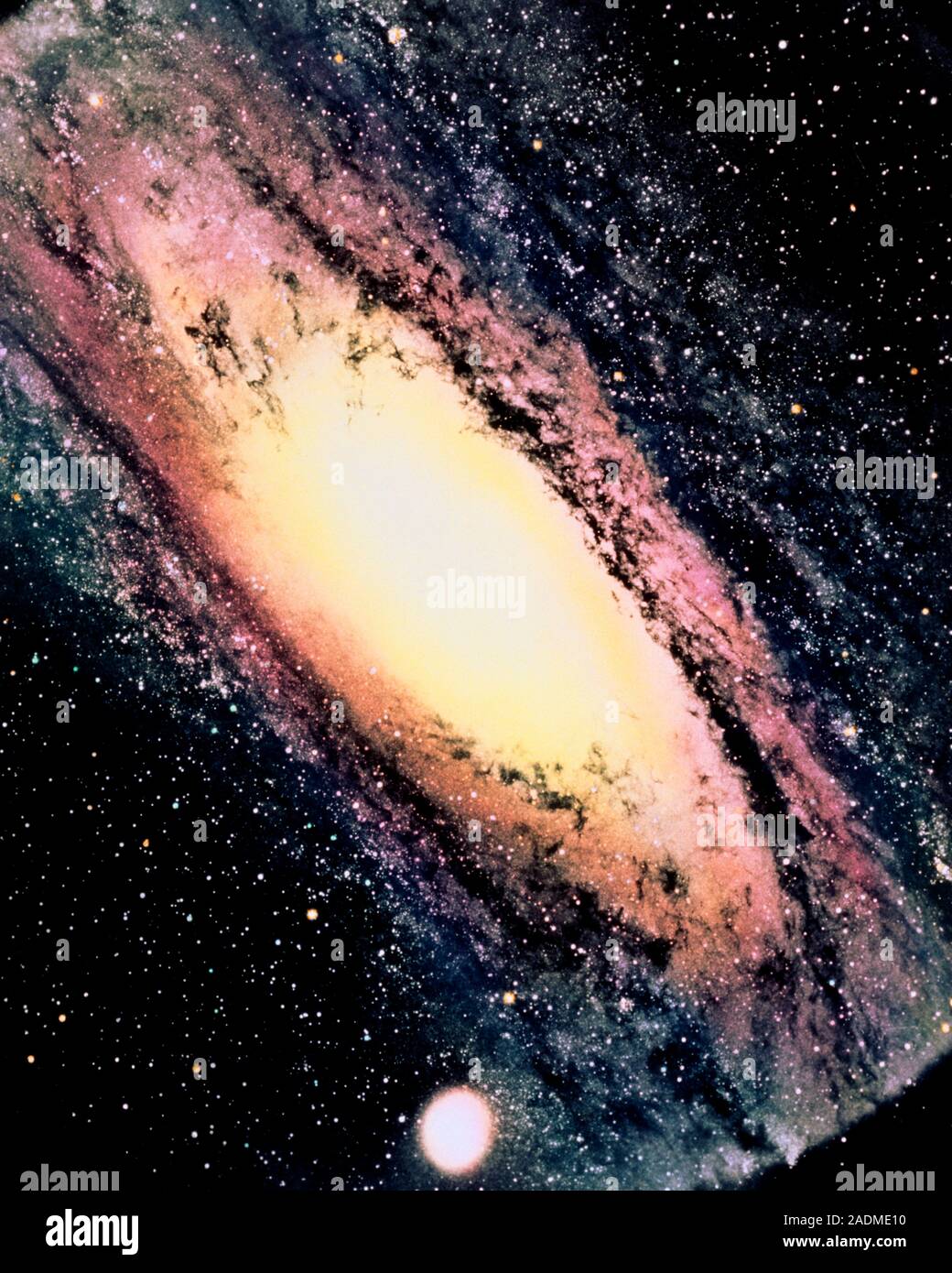 Optical photograph of the Andromeda Galaxy (M31, NGC 224) & its dwarf elliptical satellite ...