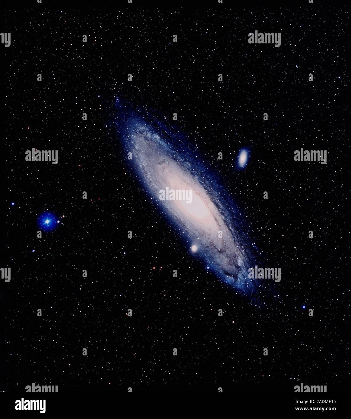 Andromeda Galaxy. True-colour optical image from the Palomar ...