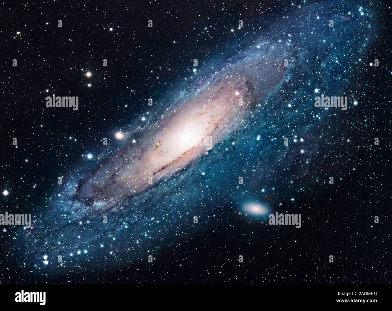 Andromeda galaxy (M31), optical image. The galaxy comprises a central ...