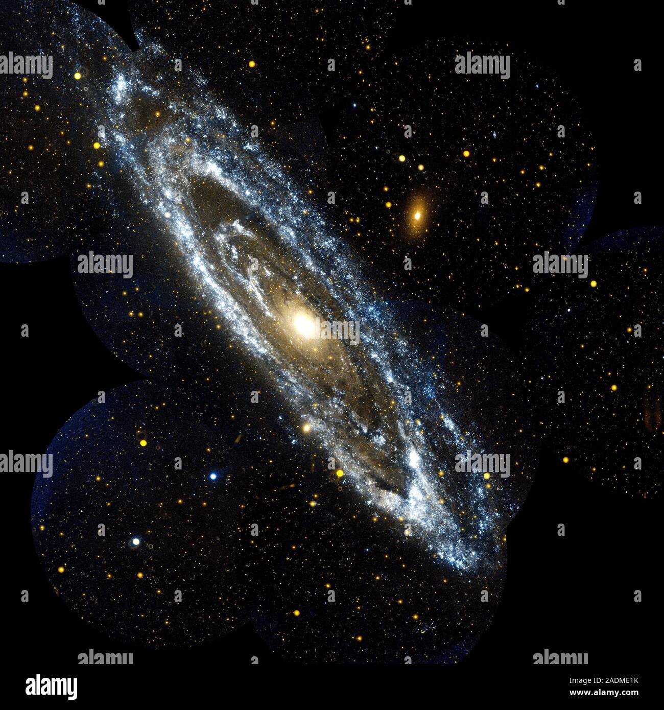 Andromeda Galaxy (M31), ultraviolet image from the GALEX satellite. Two regions of the ...