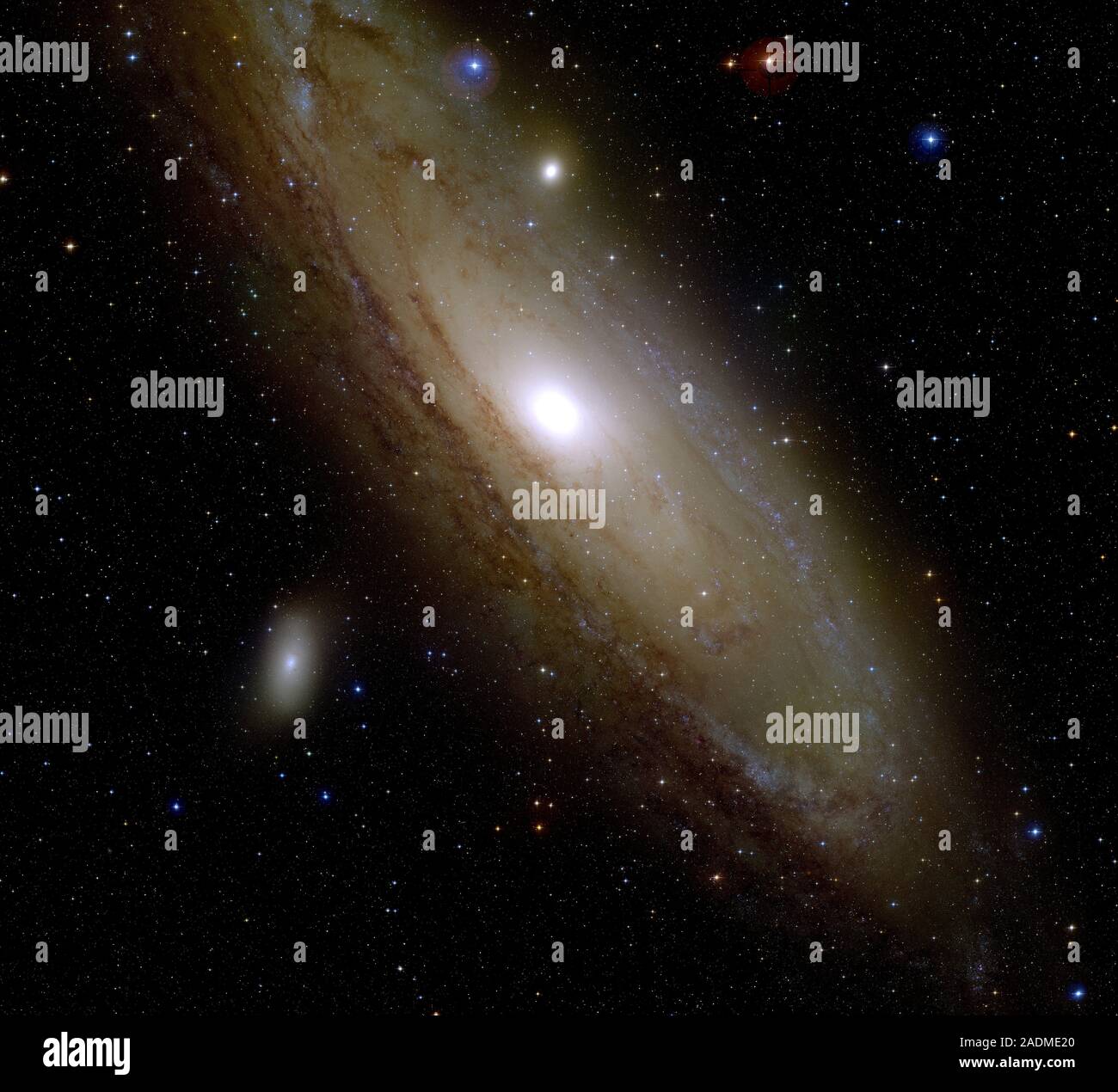 Andromeda galaxy (M31), optical image. This large galaxy consists of a ...