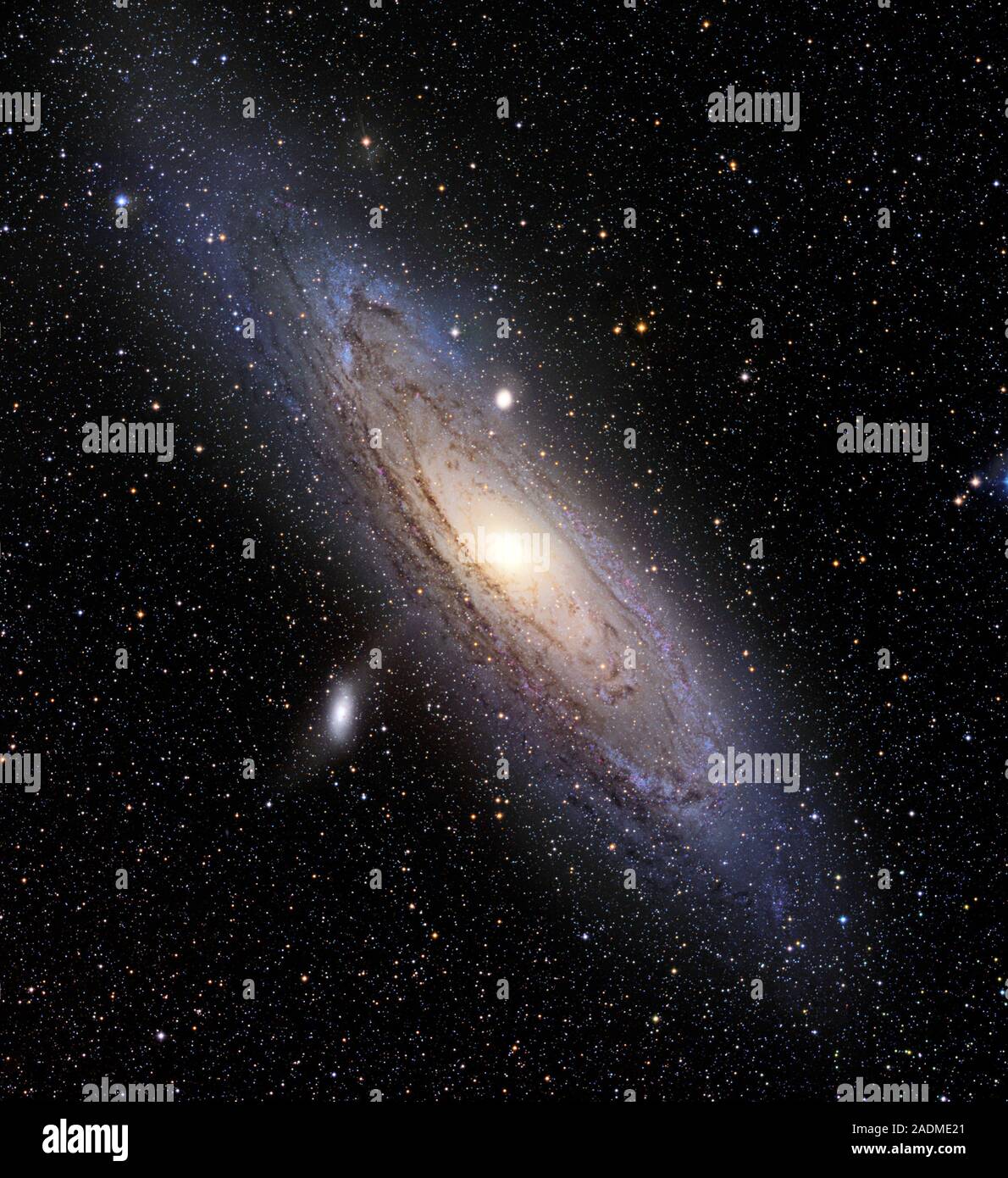 Andromeda galaxy (M31), optical image. This large galaxy consists of a ...