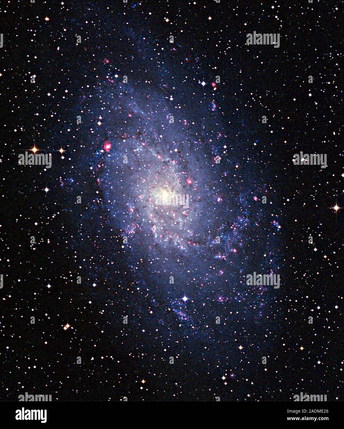 Pinwheel galaxy. Optical image of the Pinwheel galaxy (M33) in the ...