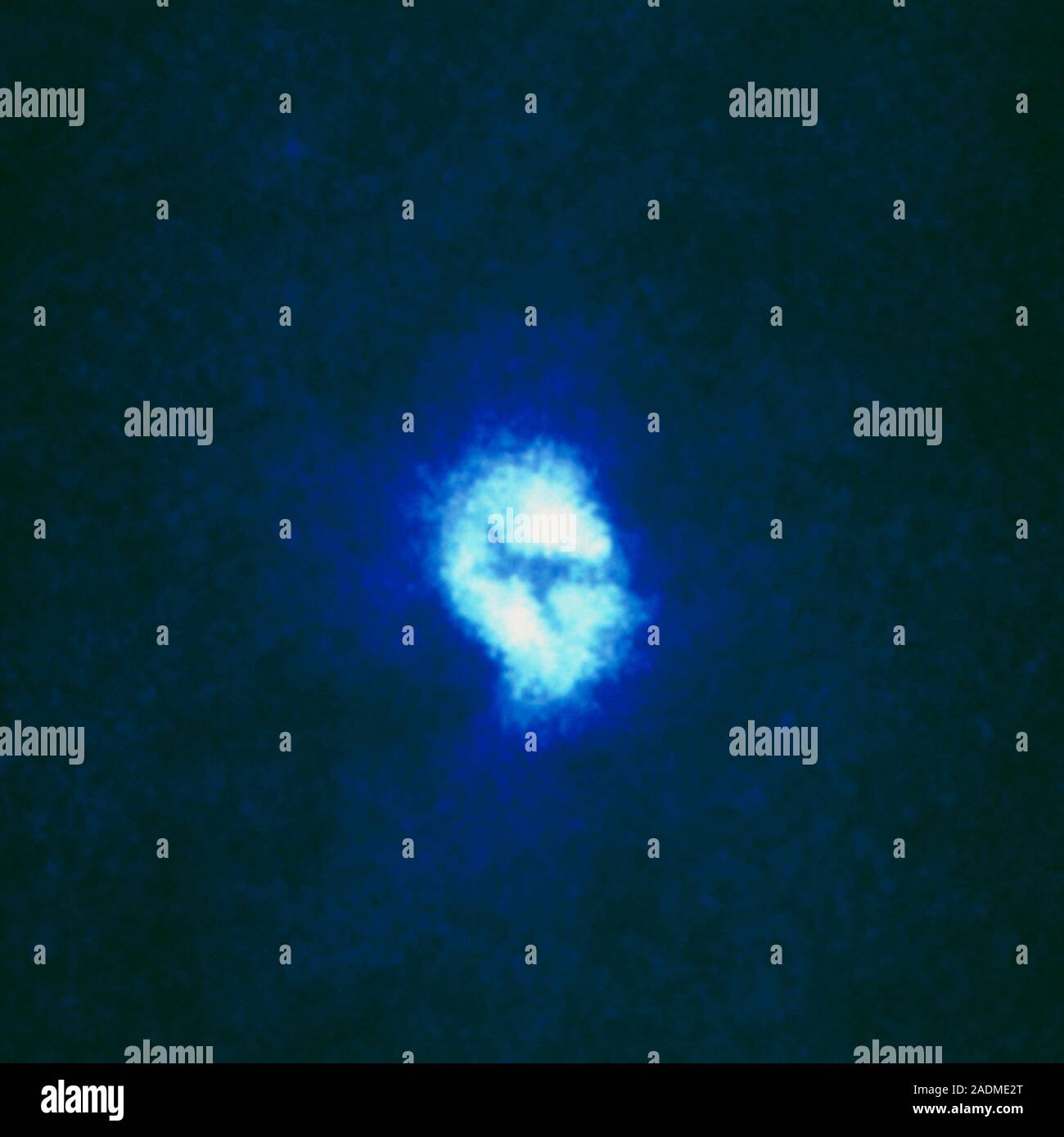 Black hole evidence. Optical image of the core of the Whirlpool galaxy ...