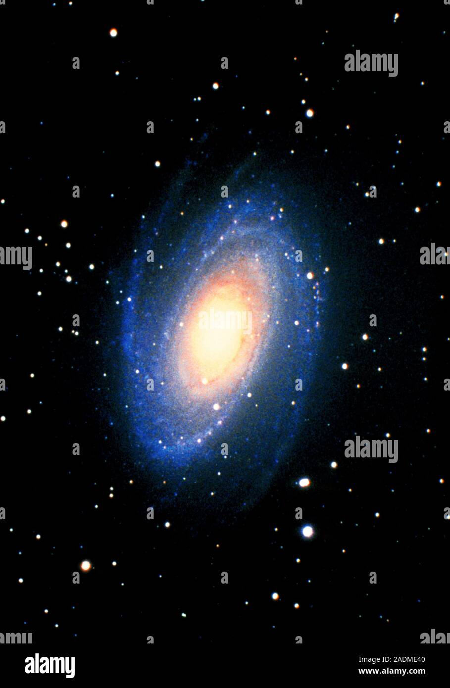 M81 galaxy. Optical image of the spiral galaxy M81 (NGC 3031) in the ...