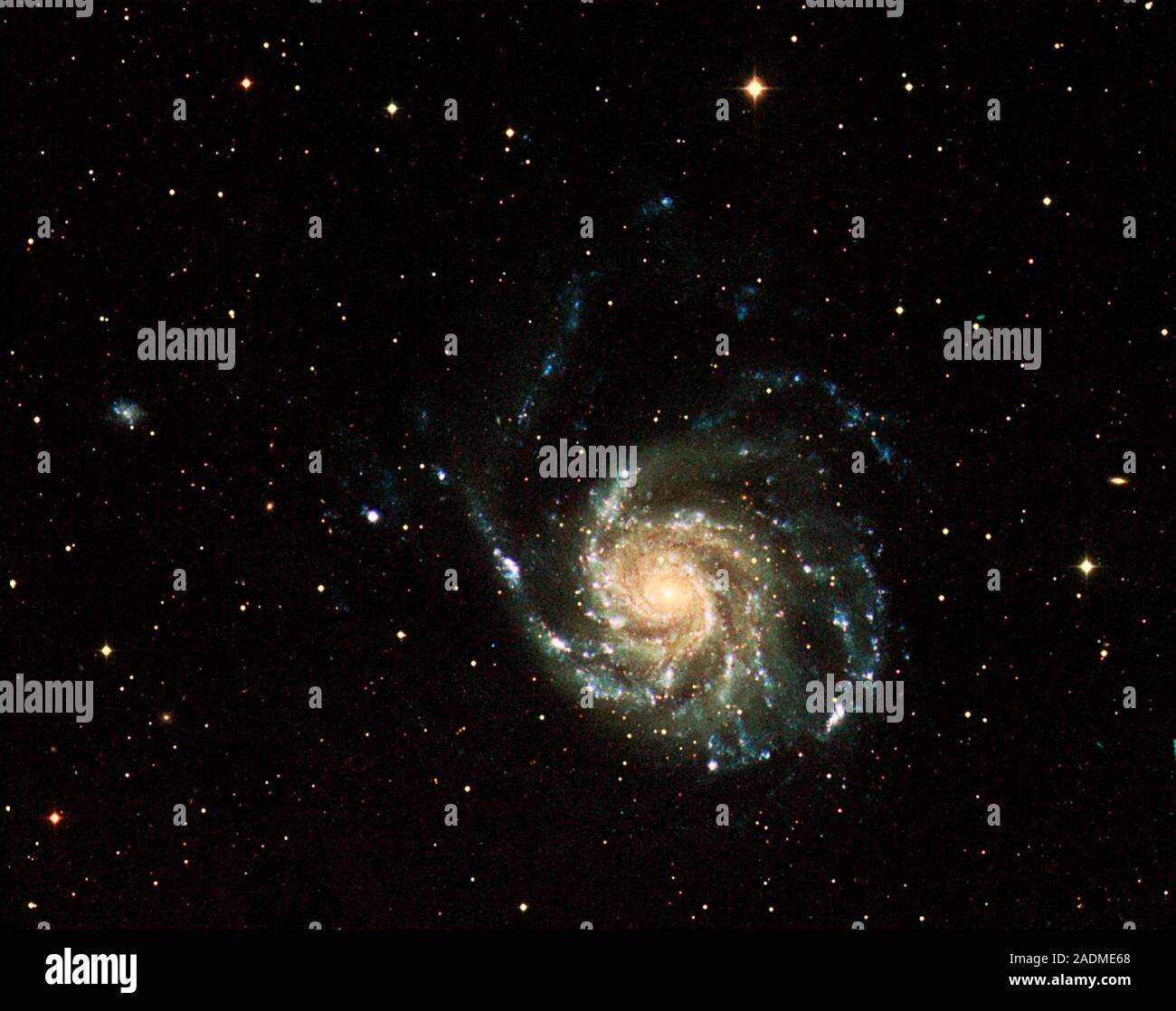 Pinwheel Galaxy (M101, NGC 5457), combined optical and ultraviolet (UV) image. The ultraviolet ...