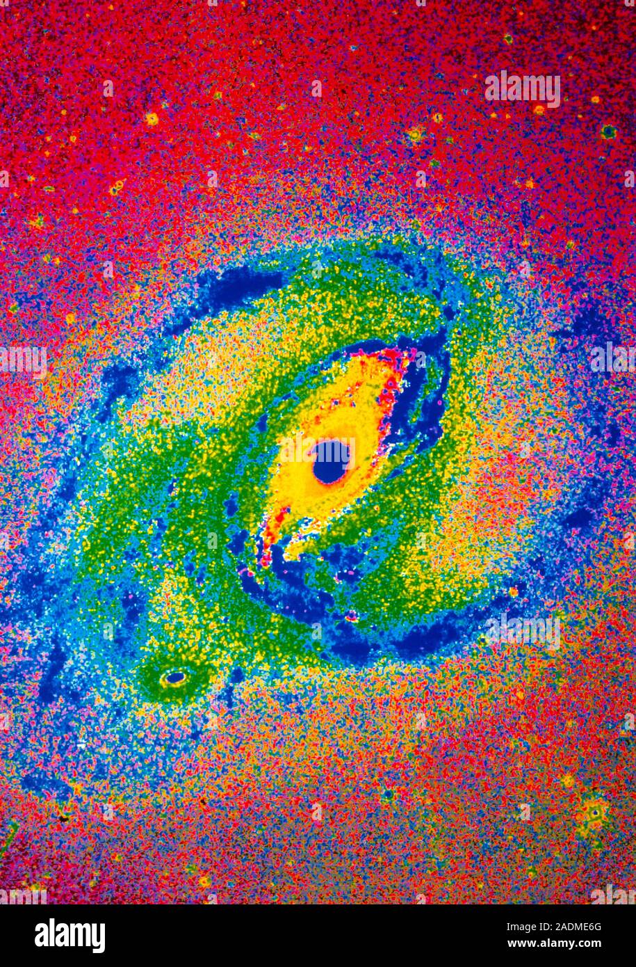 Image-processed optical photograph of the spiral galaxy NGC 1097. The ...