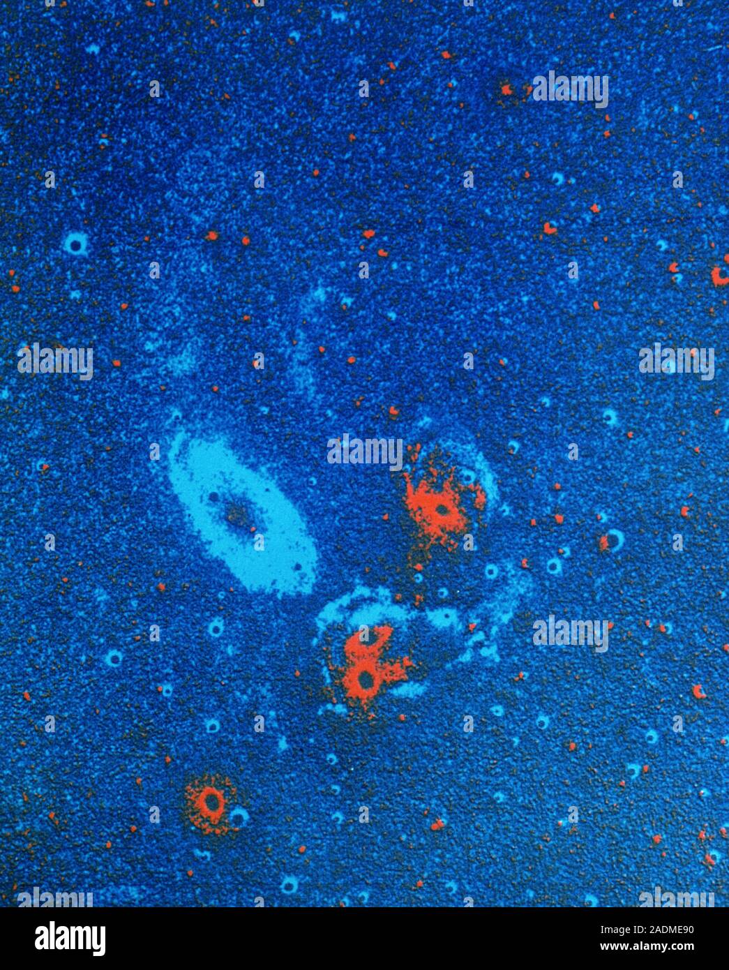 Image-processed optical photograph of Stephan's Quartet group of ...