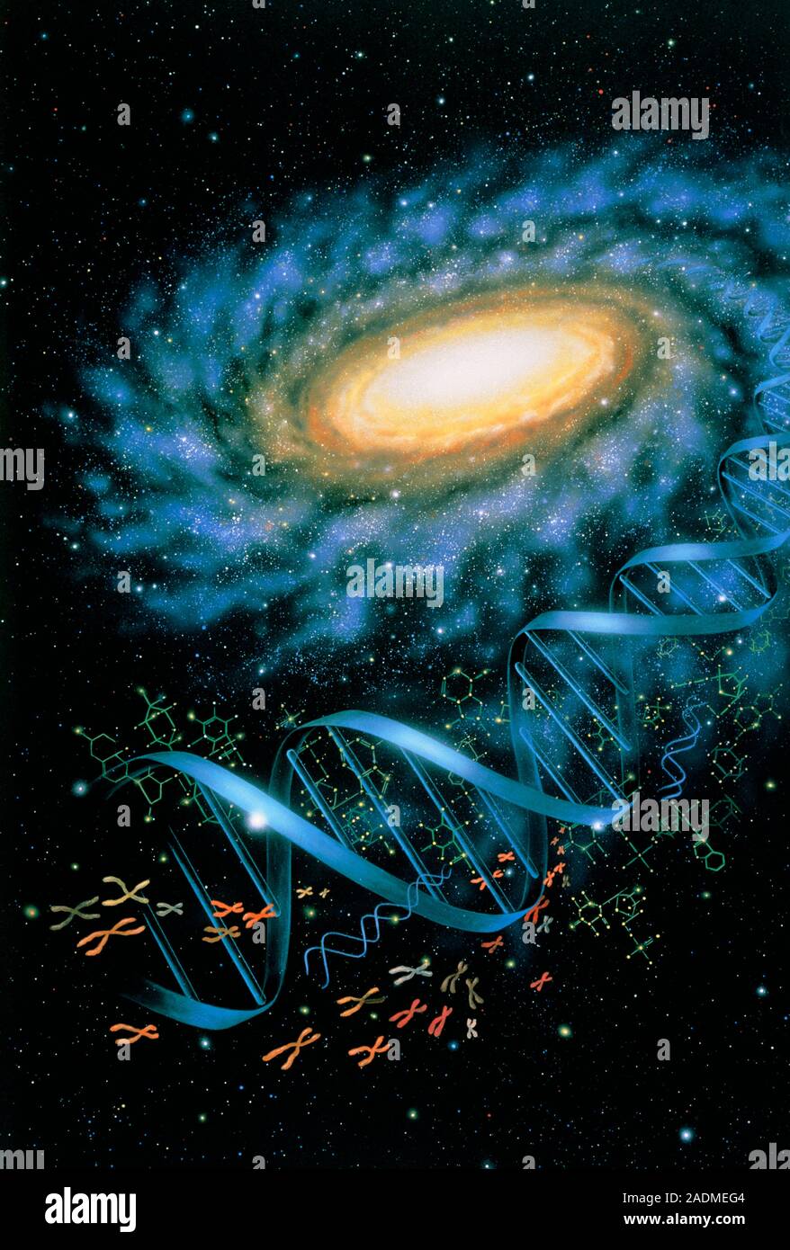 Galactic origin of life. Artwork of the limb of a spiral galaxy turning ...