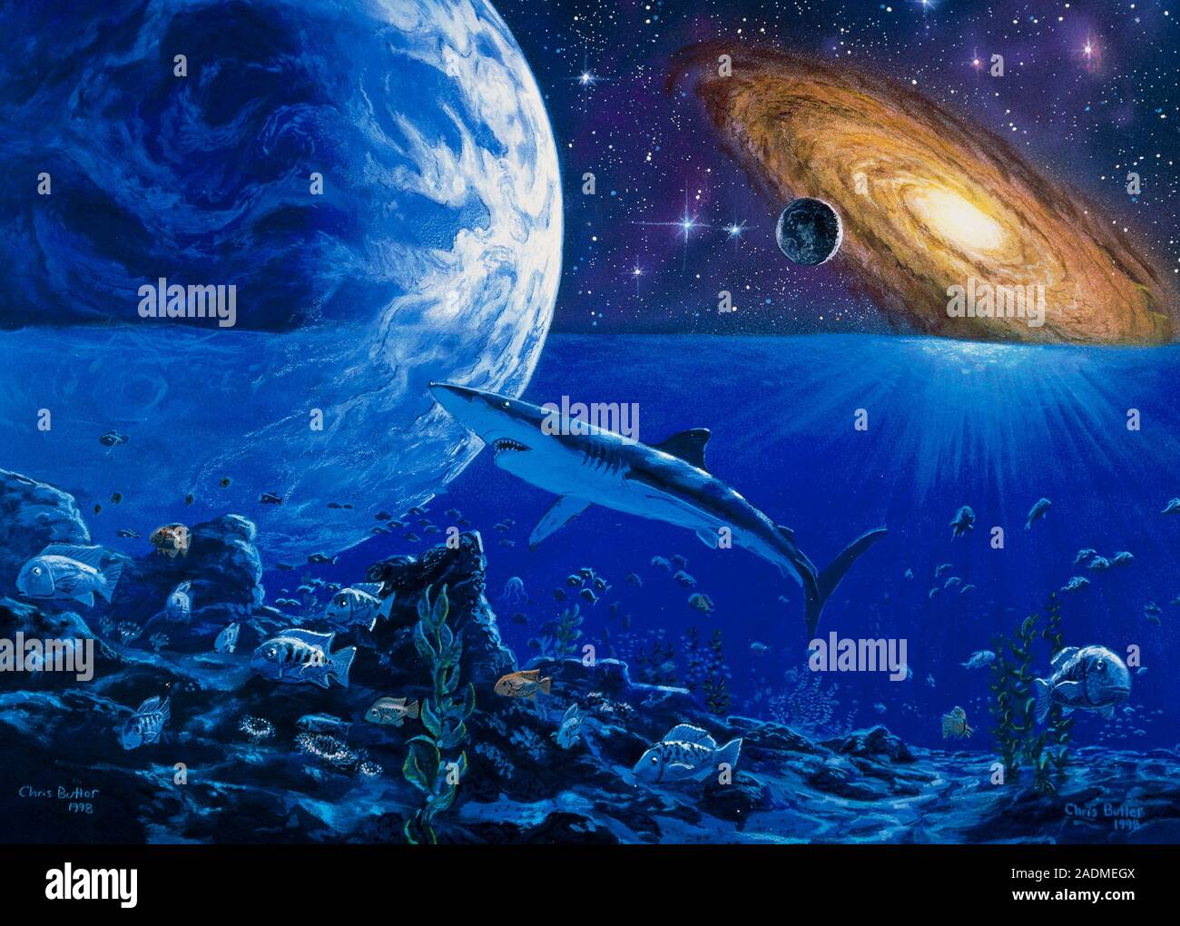 Evolution of life. Abstract artwork depicting the evolution of life on ...