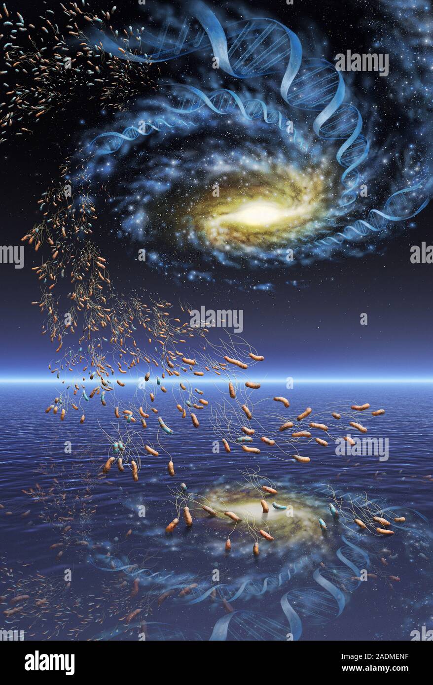 Life in the universe, conceptual image. Artwork depicting the origins ...