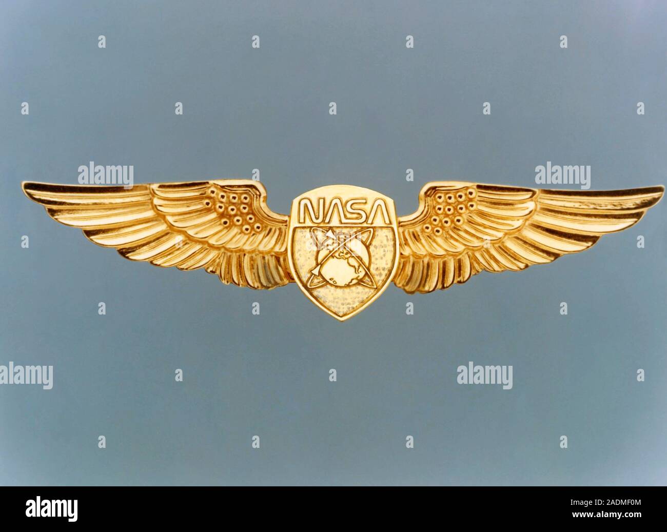 Nasa Astronaut Wings Logo