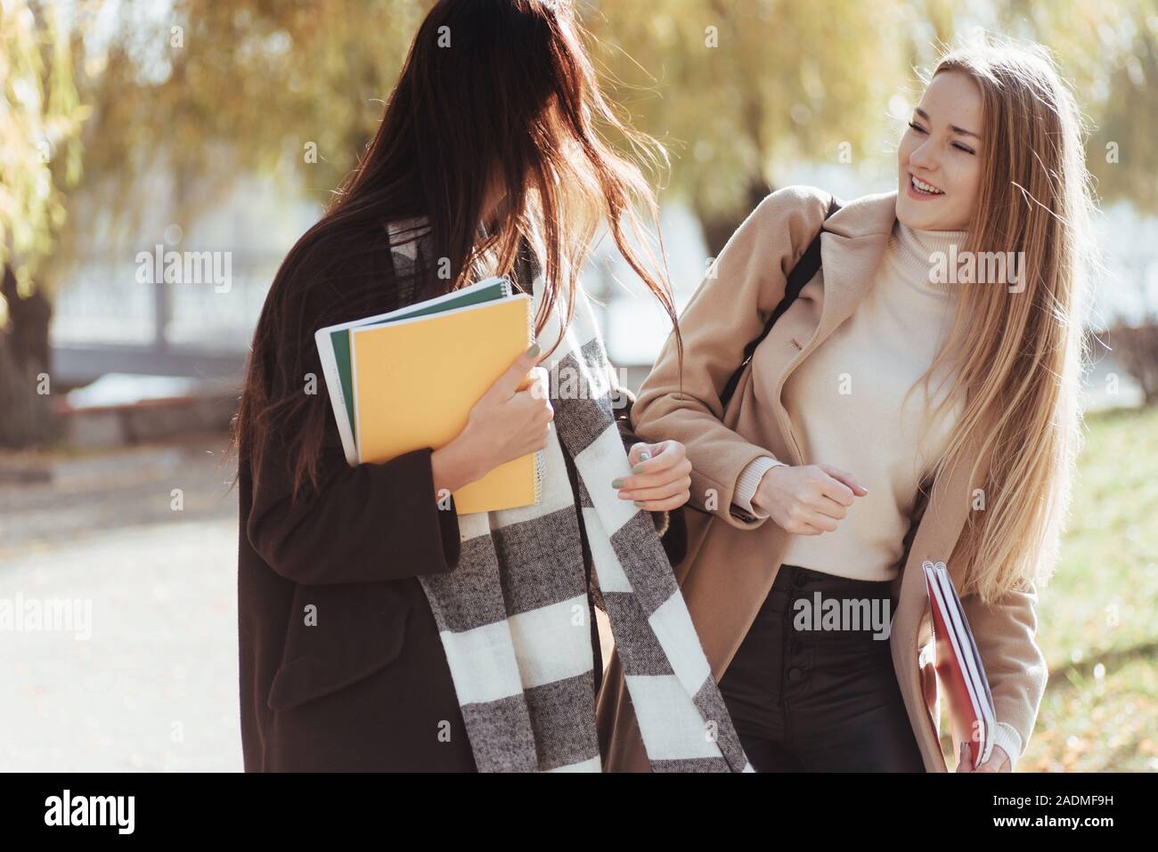 Eye contact. Two young friends are glad to meet each other at park ...