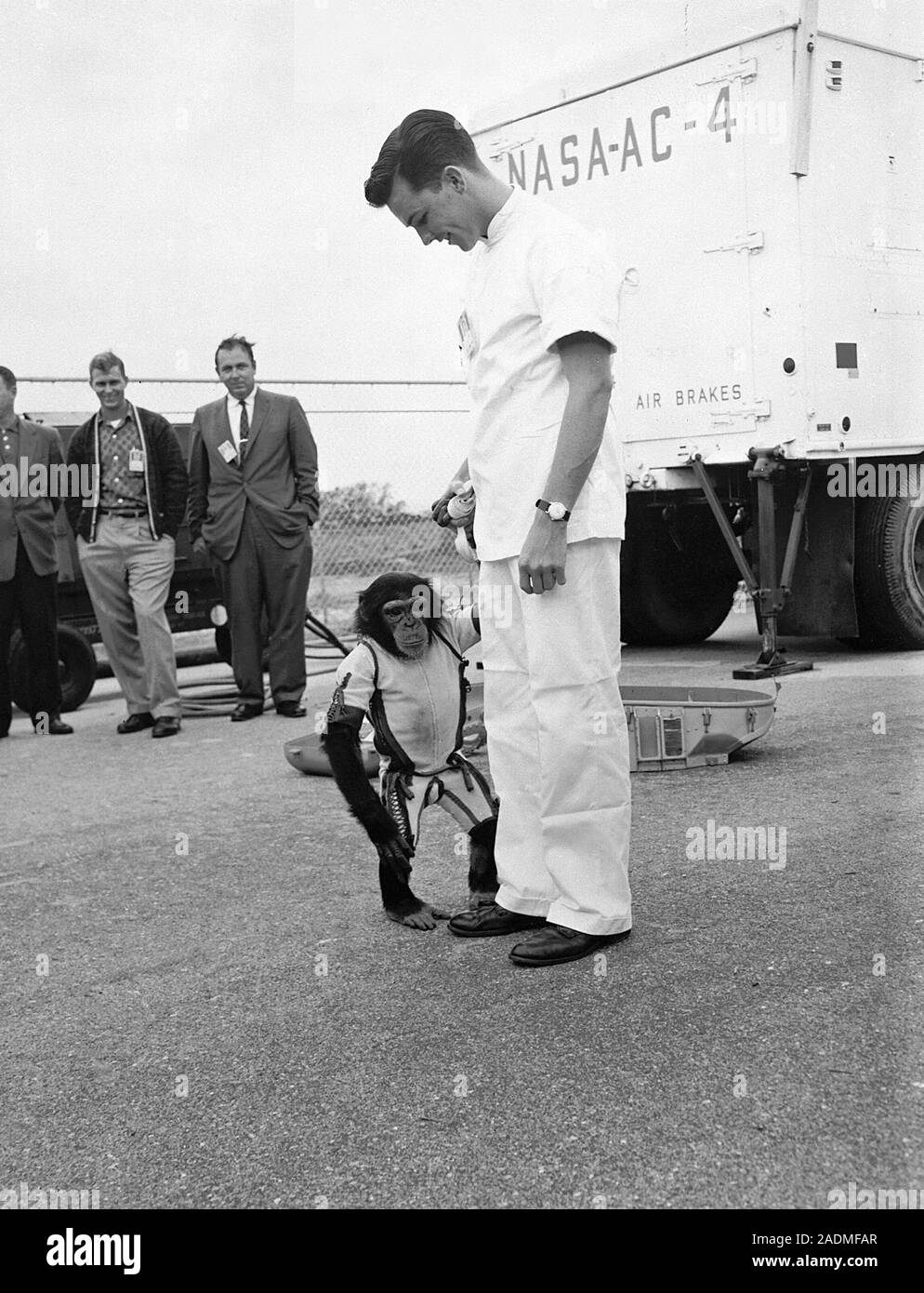 First chimpanzee in space. Ham, the first chimpanzee in space with his ...