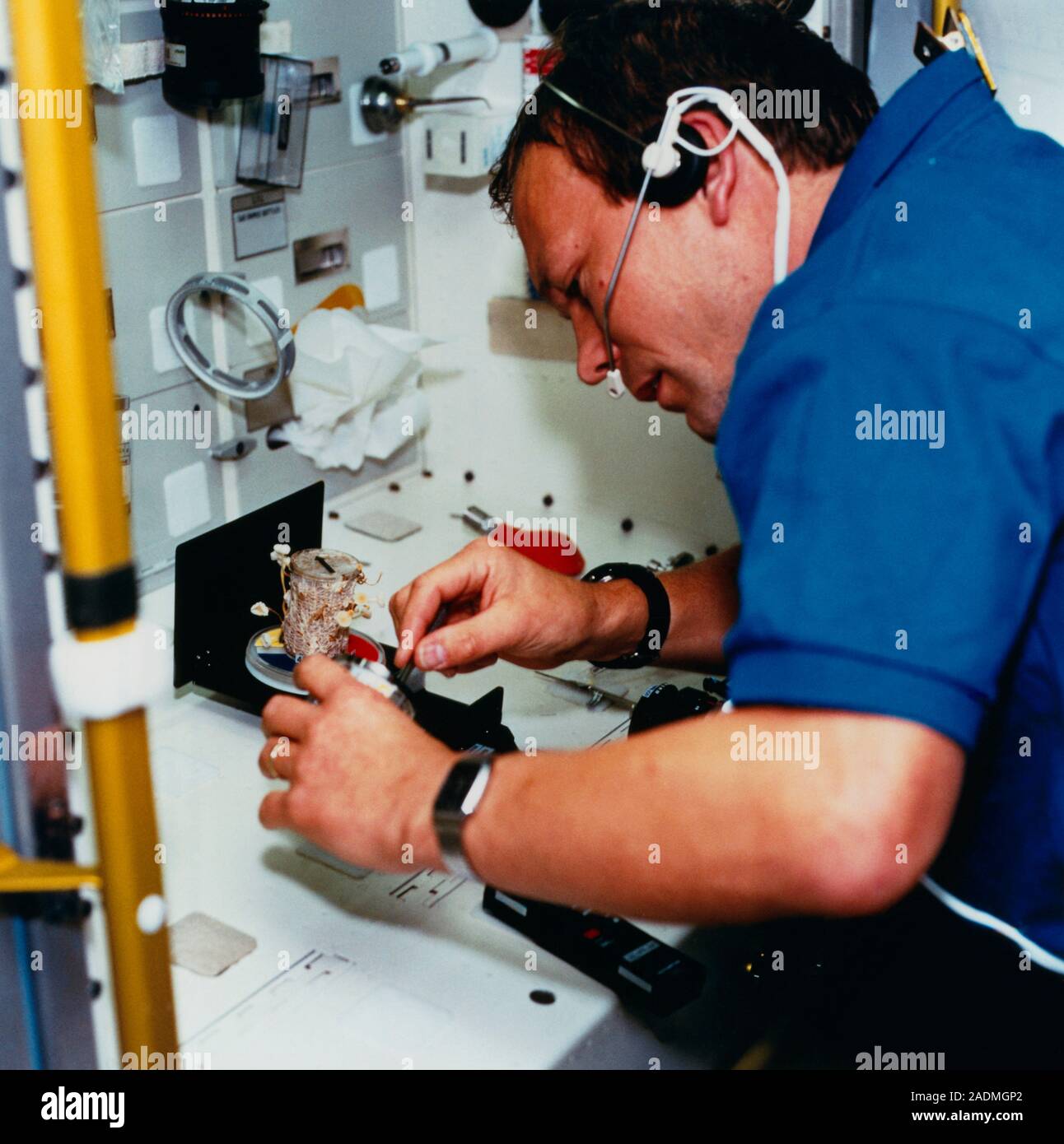 Fungi in space. German astronaut Hans Schlegel tending an experiment ...