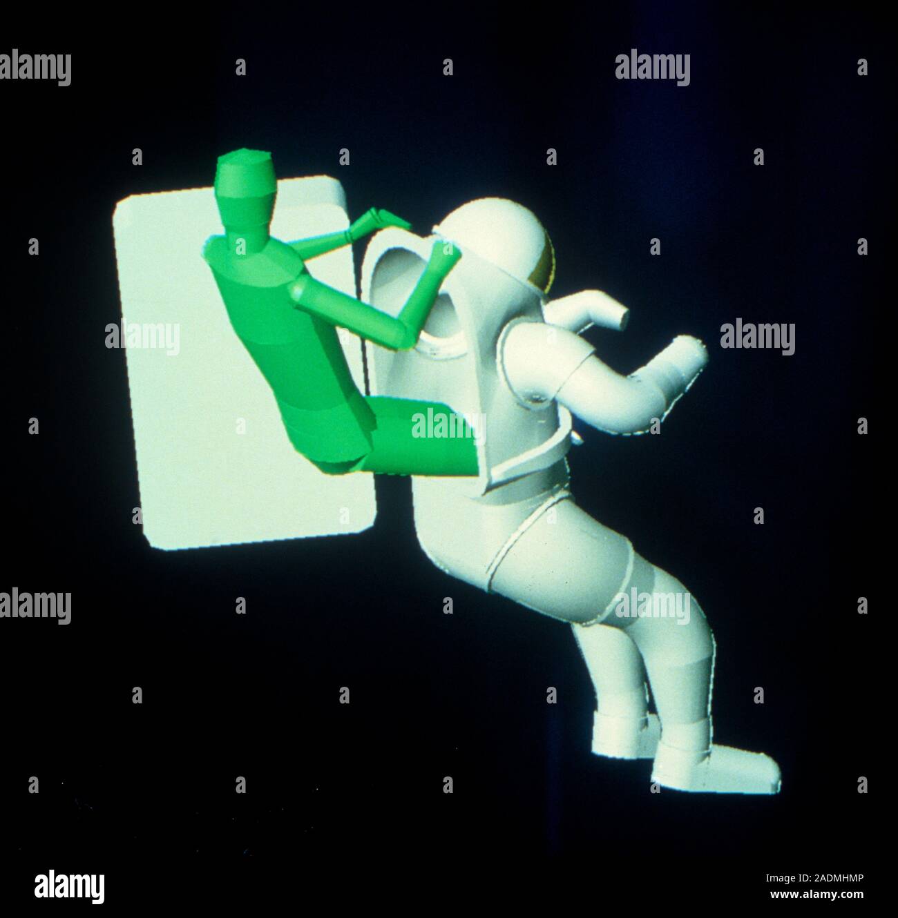 A computer-generated mannequin, an exact representation of the human ...