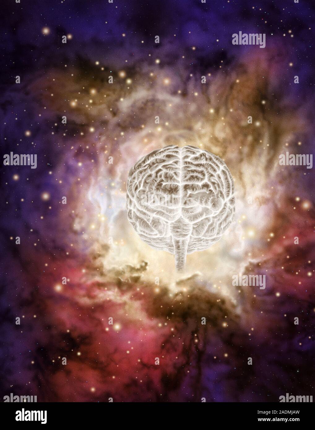 Intelligent universe, conceptual image. Computer artwork of a human ...