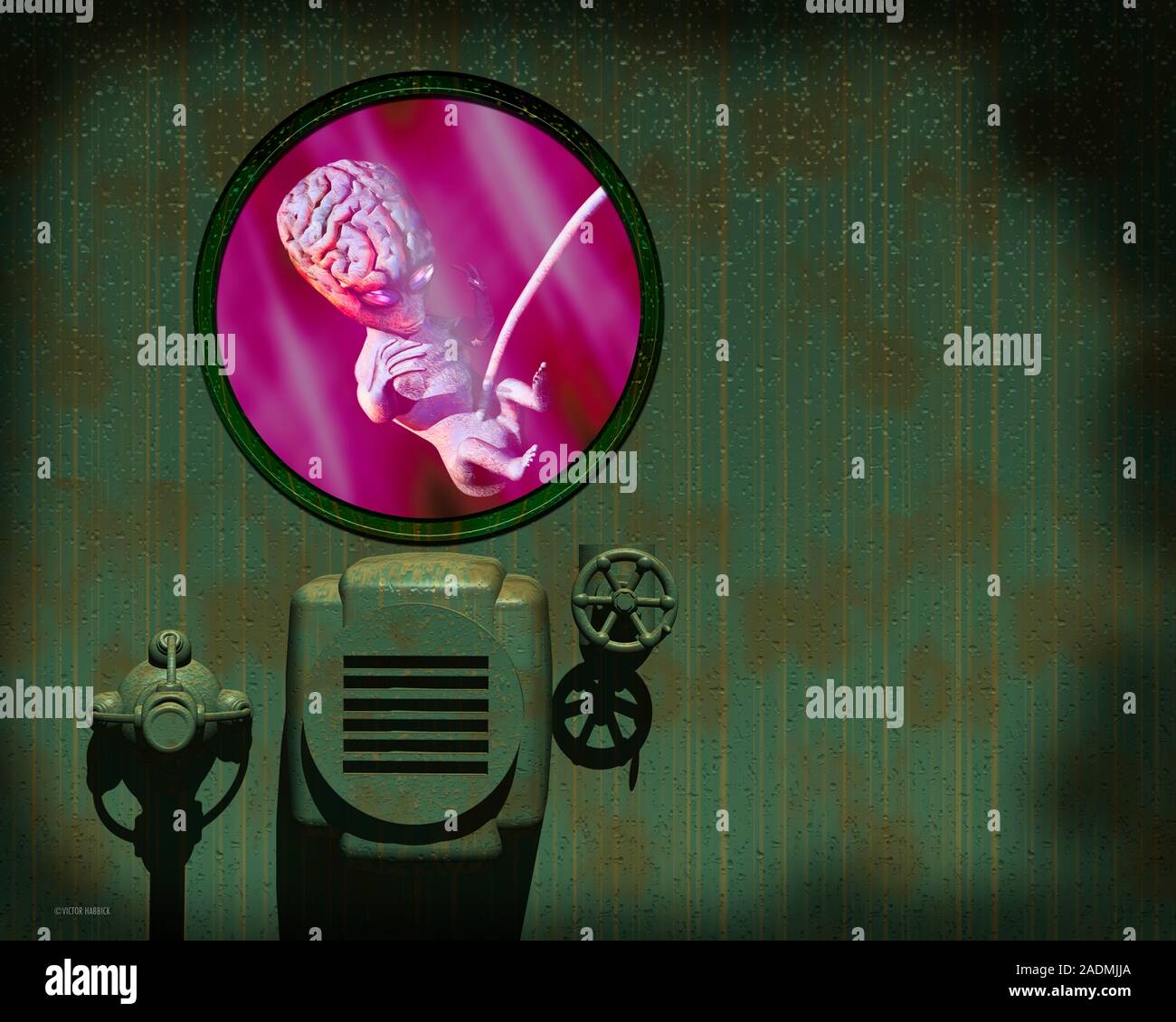 Alien foetus. Conceptual computer artwork of an alien foetus in an ...