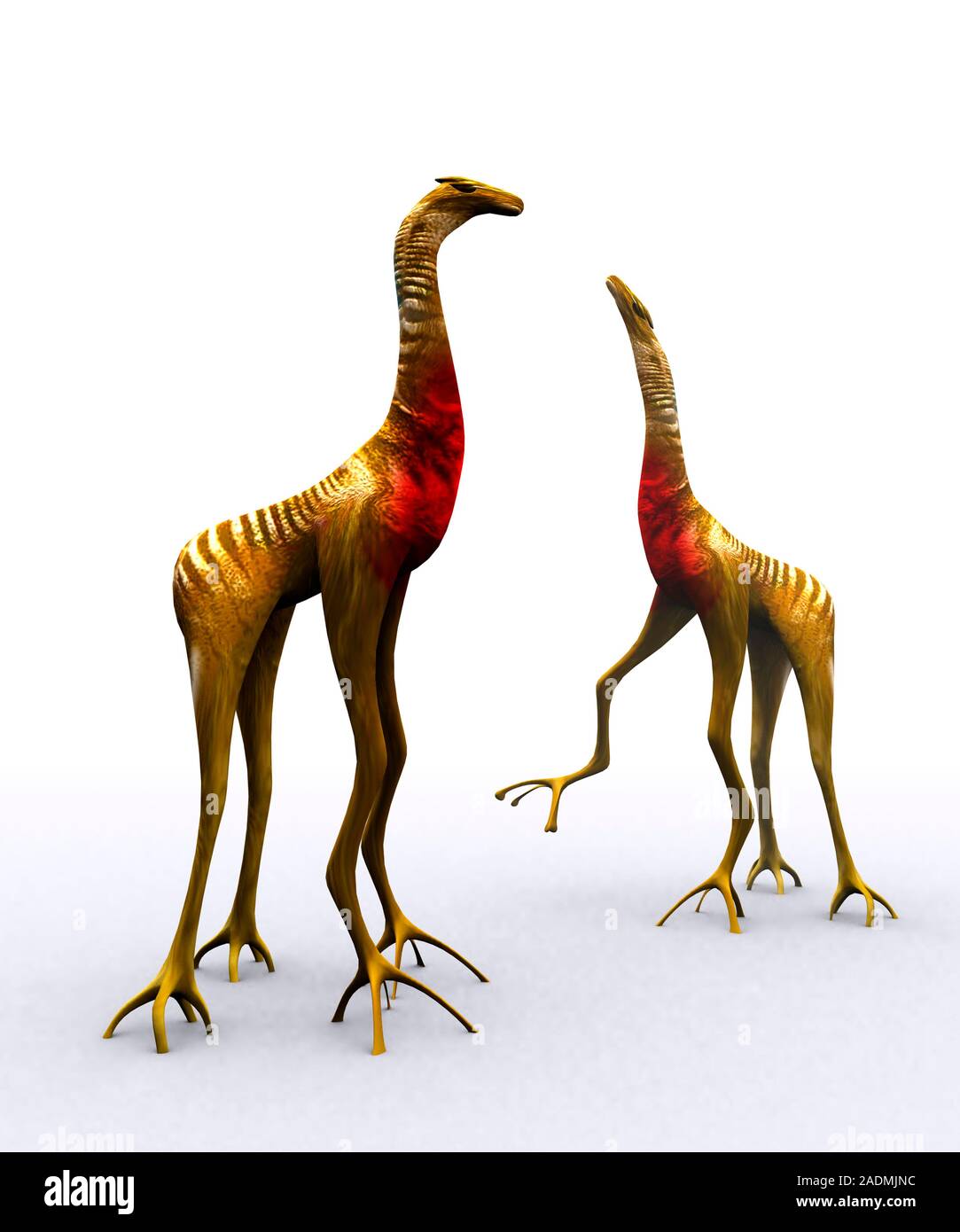 Low gravity aliens. Artwork of life forms adapted for life on a planet ...