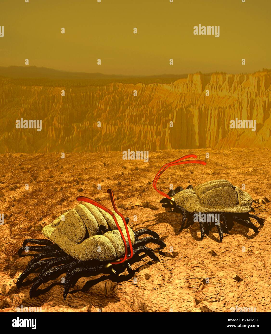 Alien life forms. Artwork of two alien life forms. These organisms ...