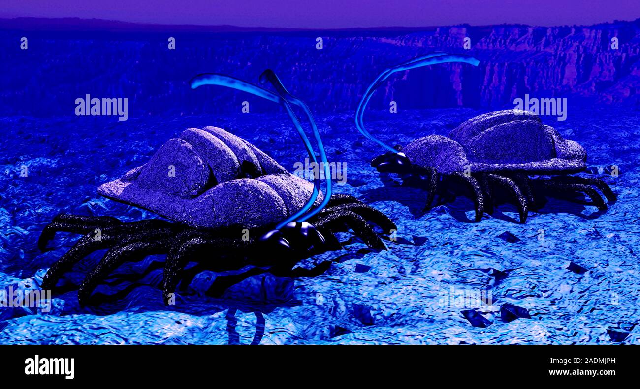 Alien life forms. Artwork of two alien life forms. These organisms ...