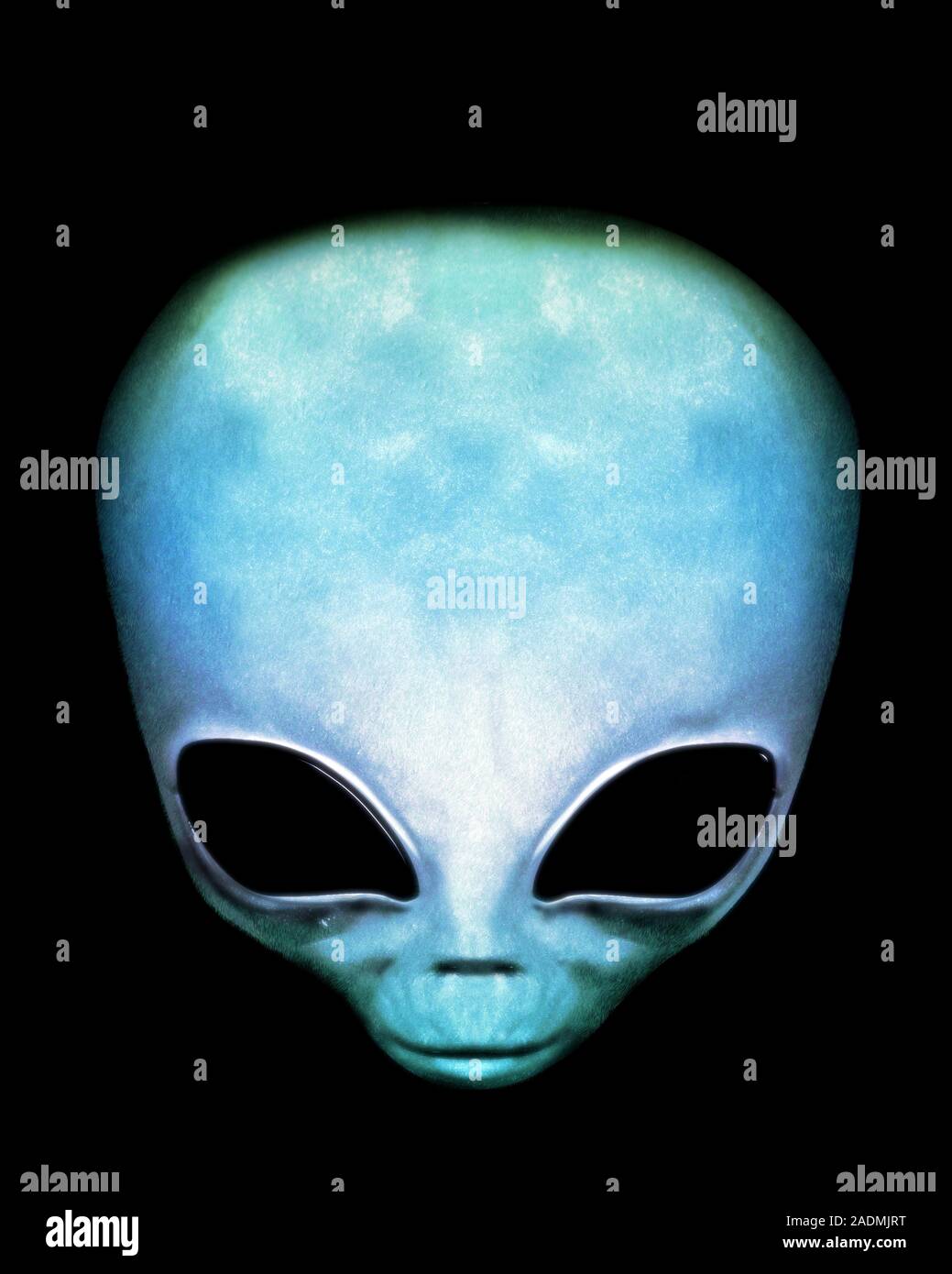 Alien head, computer artwork. This artwork shows a common conception of ...