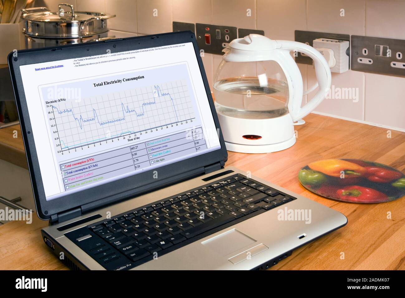EcoMeter web view. Laptop computer displaying the household's energy ...