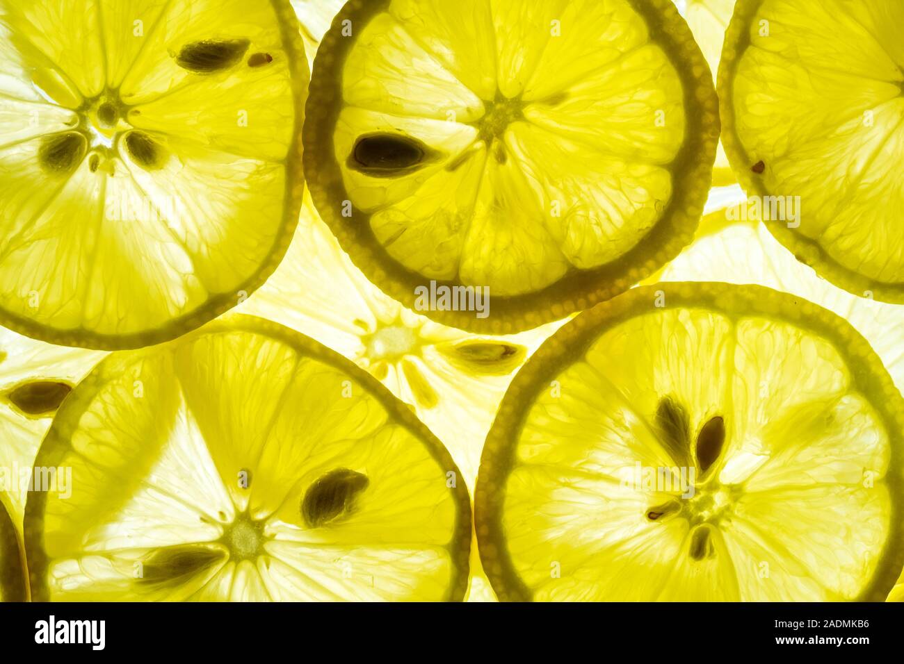back lit ripe lemon slice translucent background Stock Photo - Alamy