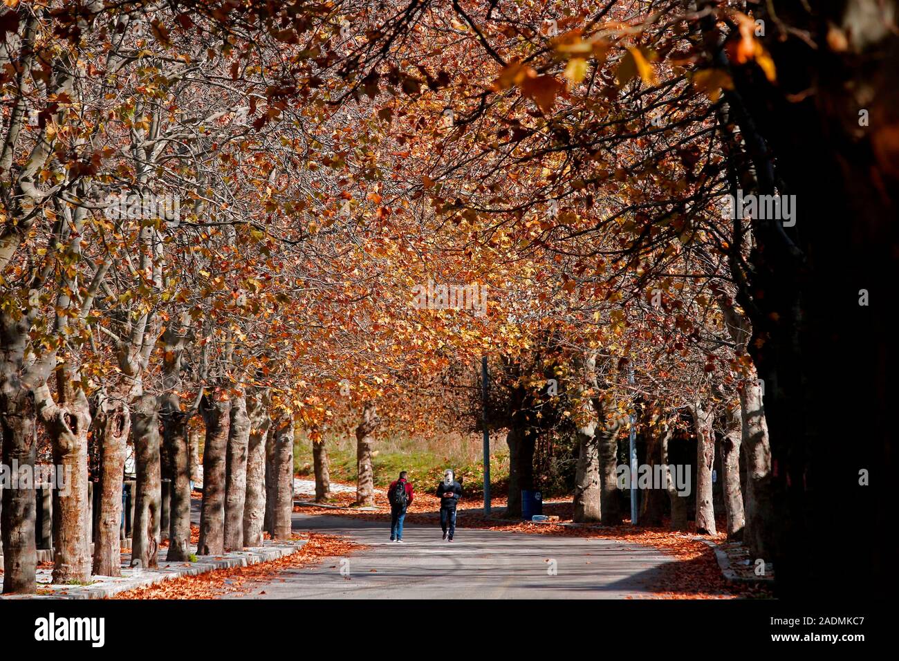 Beirut, Lebanon. 4th Dec, 2019. People enjoy the autumn scenery at ...