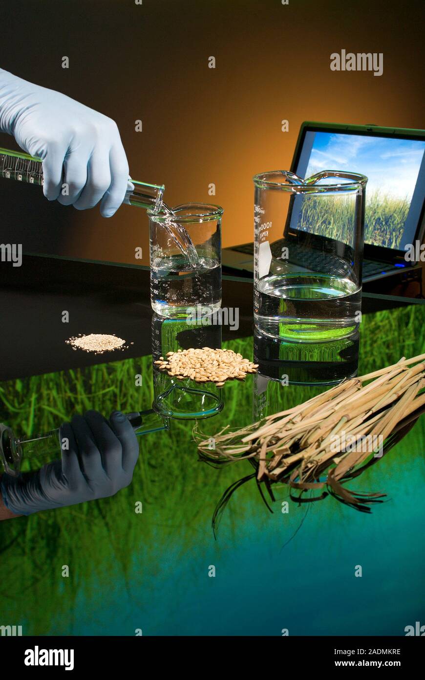 Biofuel research. Ethanol fuel being poured into a beaker behind ...